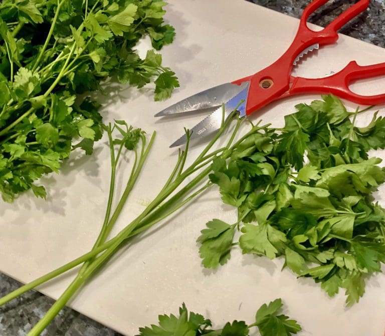 Parsley Oil Recipe - 3CatsFoodie