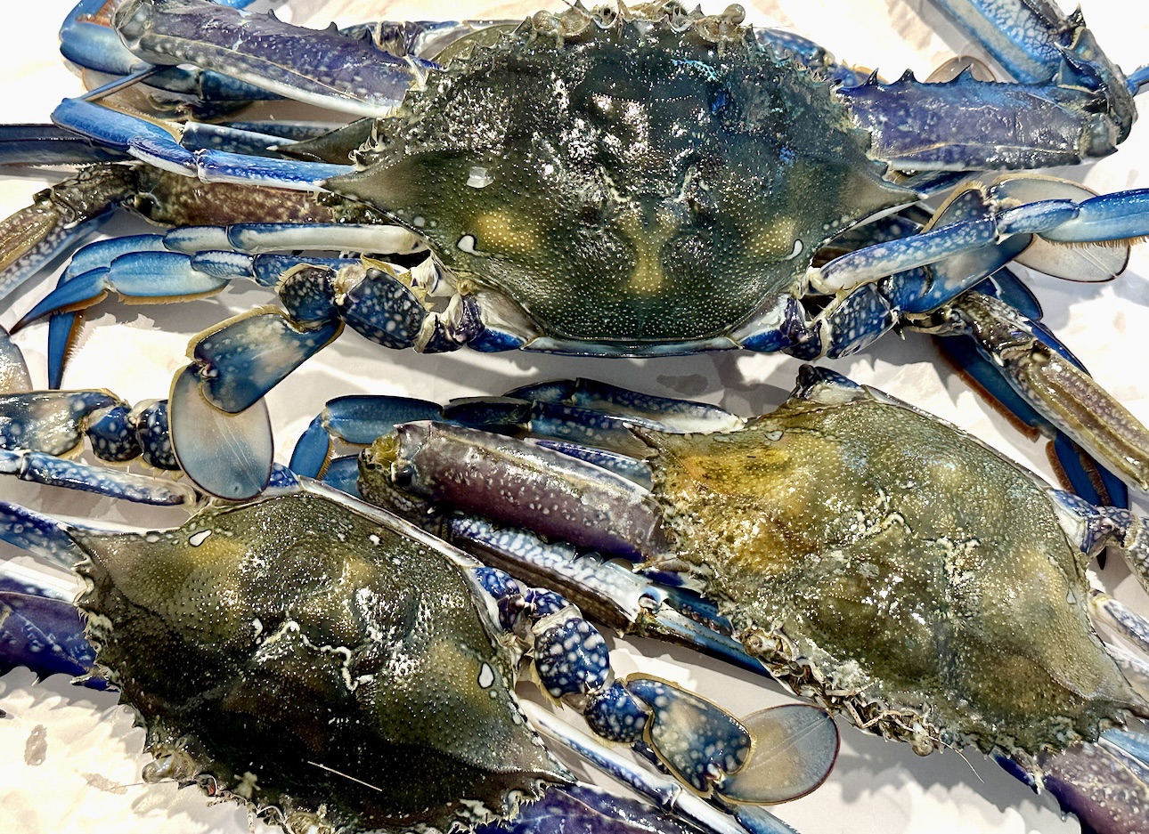 How to prepare Blue Swimmer Crabs - 3CatsFoodie
